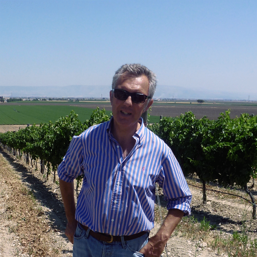 Paolo Petrilli – Bat and Bottle